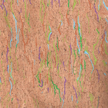 Granulated Cork, Cork Sheet, Cork Leather, Cork Molded Products, Cork ...